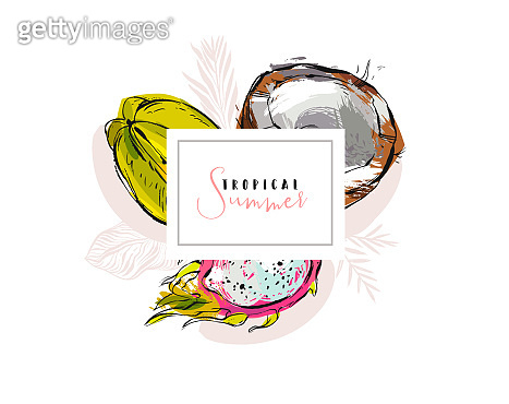 Hand drawn vector abstract artistic summer time tropical header with ...