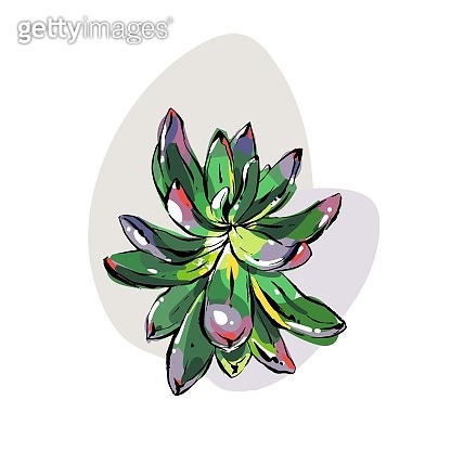 Hand drawn vector abstract ink graphic brush textured sketch drawing blossom succulent aloe ...