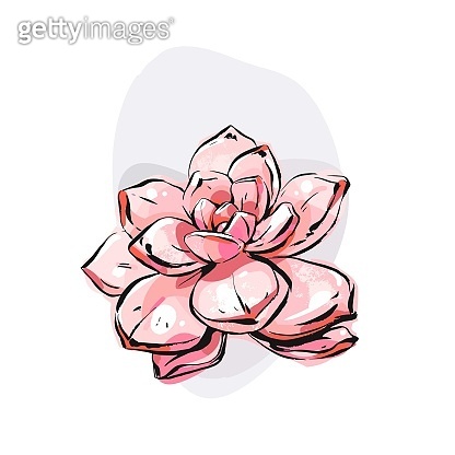 Hand drawn vector abstract ink graphic brush textured sketch drawing blossom succulent flowers ...