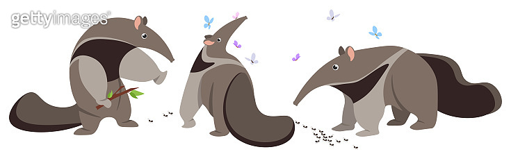 Vector illustration cute and beautiful ant-eater on white background ...