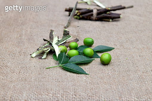 Neem leaves, branches, fruits on jute fabric background. Margosa leaf ...