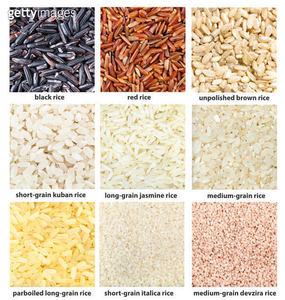 background - various rice grains with names 이미지 (1368420425) - 게티이미지뱅크