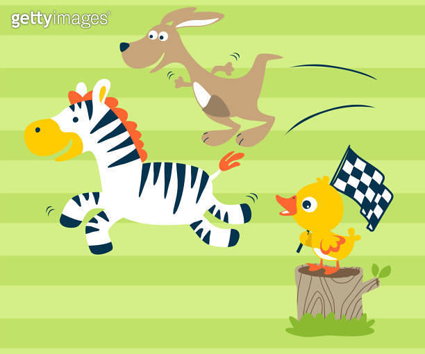 Vector illustration of cartoon zebra and kangaroo on a race, little ...