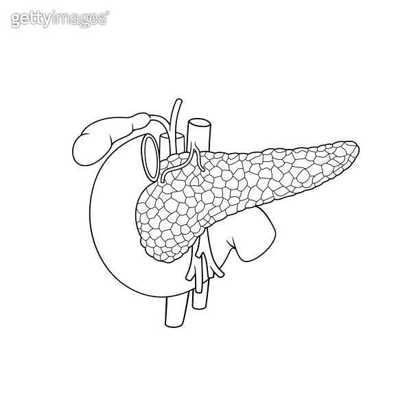 Black and white vector illustration of children's activity coloring ...