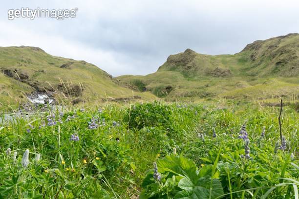 Finger Bay Hike and Landscape (1445650815) - 게티이미지뱅크