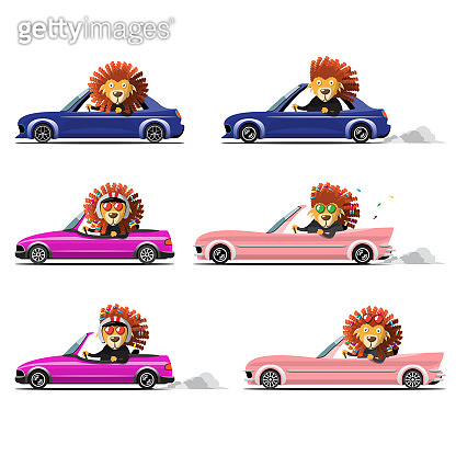 Animal driver, pets vehicle and lion happy in car. 이미지 (1403168443 ...
