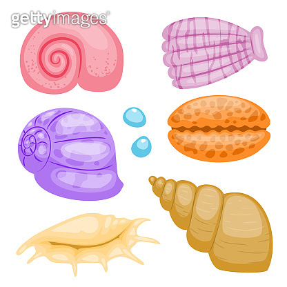 Set of various shells in cartoon style vector 이미지 (1412630044) - 게티이미지뱅크