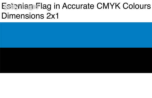 Estonian Flag in Accurate CMYK Colors (Dimensions 2x1) 이미지 (1366554097 ...