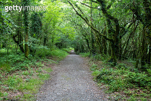 Country walking trails through the West Cork landscape 이미지 (1394909781 ...