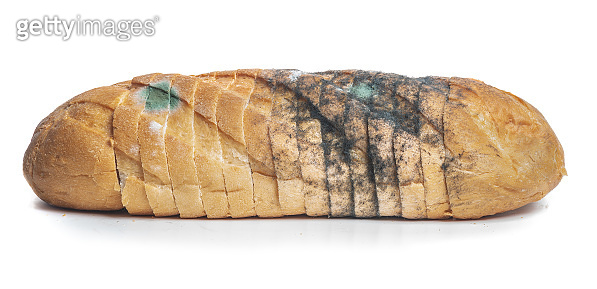 The old mold on the wheat long loaf whole sliced bread. Spoiled food ...