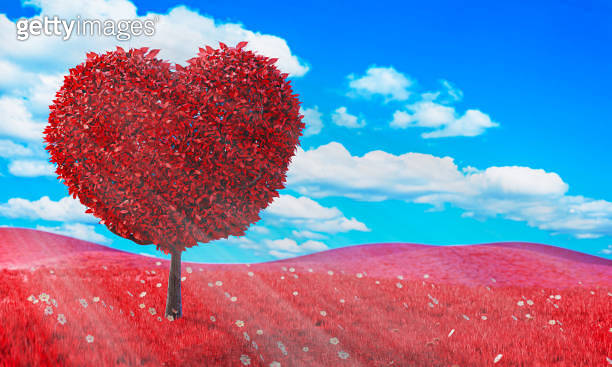 Big tree in the middle of the meadow. Heart shape in Valentine's Day ...