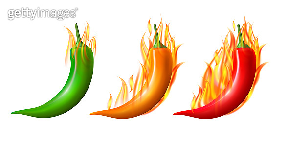 Spicy level. Set of hot flaming chili pepper pods. (1388821194) 일러스트 ...