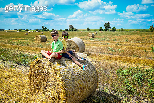 Two little boy stand among round haystack. Field with round bales after ...