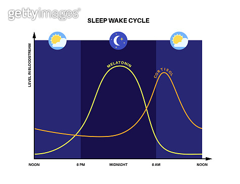 Sleep wake cycle (1397809149) 일러스트, 무료 일러스트 - 게티이미지뱅크