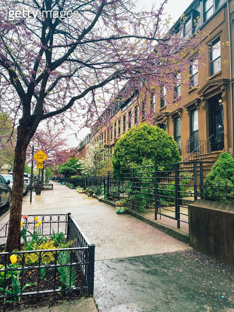 Pink Cherry Blossoms and Flowers in Bloom on a Cloudy Spring Day ...