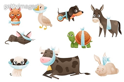 Sick baby animals set. Sad bandaged goose, donkey, puppy, kitten ...