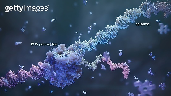 3d render illustration of Single strand ribonucleic acid. RNA research ...