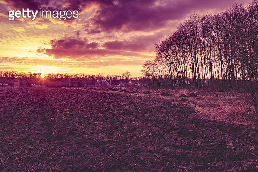 Countryside view in the early spring evening 이미지 (1437442680) - 게티이미지뱅크