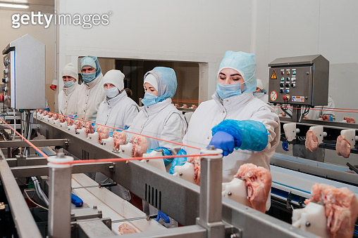Meat processing plant.Industrial equipment at a meat factory.Modern ...