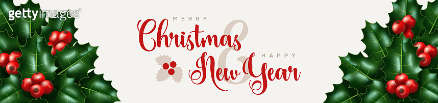 Christmas Banner Header Holly Leaves (1437518604) 일러스트, 무료 일러스트 - 게티이미지뱅크