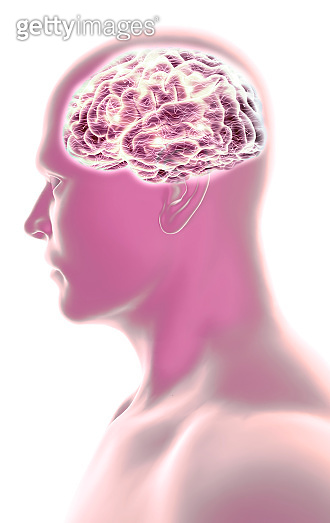 Human brain and man face, side view. X-rays. Degenerative disease ...