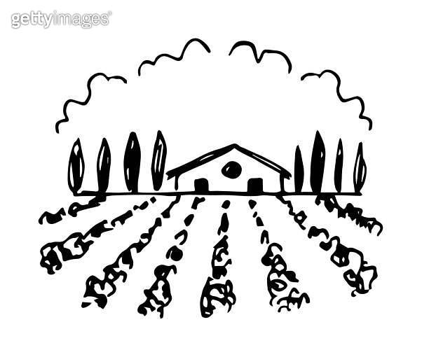 Simple hand drawn black outline vector drawing. Vineyard, farm fields ...