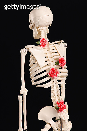 Healthy spine concept. Human spine decorated with flowers (1366815319 ...