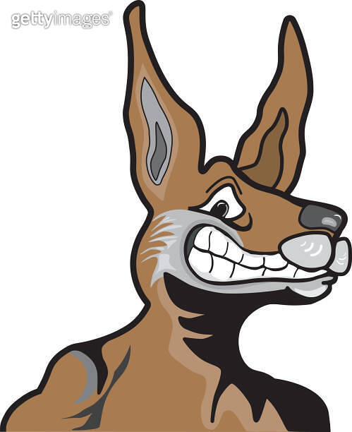 Australian Kangaroo with Rage Facial expression 이미지 (1413735794) - 게티이미지뱅크