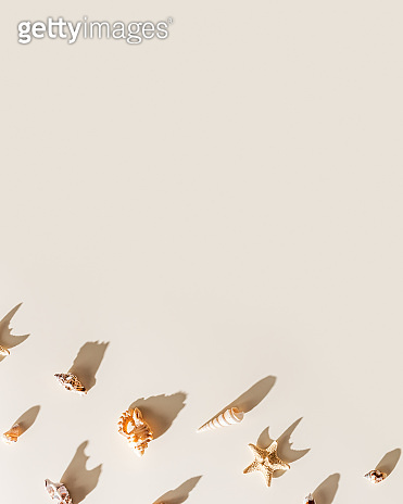 Summer background, seashells, starfish, coral with long shadows on ...