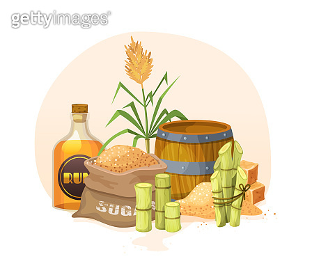 Fresh cane sugar with stem and leaf plants set. Sugarcane plants, cane ...