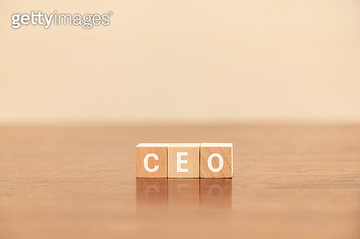 CEO character. Chief executive officer. Chief Executive Officer ...