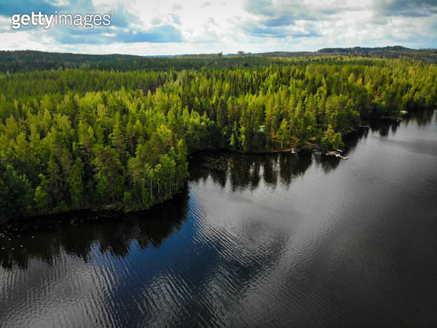 Finland lake nature landscape forest wilderness 이미지 (1401377630) - 게티이미지뱅크
