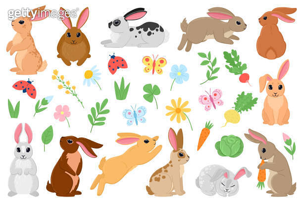 Cartoon spring bunny, cute easter rabbits with carrot and flowers ...