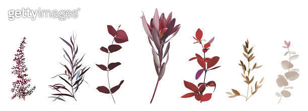 Burgundy red tropical leucadendron, eucalyptus, dark agonis, astilbe ...