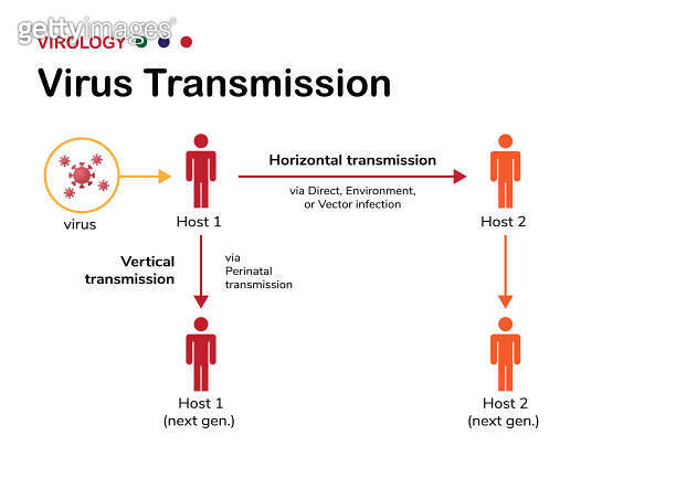 Virology infographic explain concept of virus transmission, vertical ...