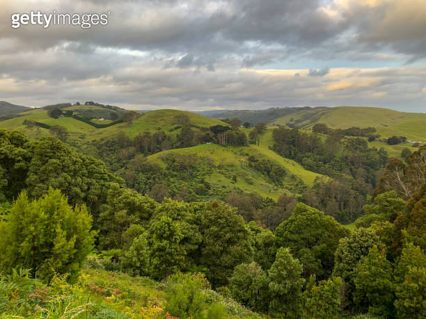 Apollo Bay Ridge in Barham Paradise S.R. - Great Ocean Road in the ...