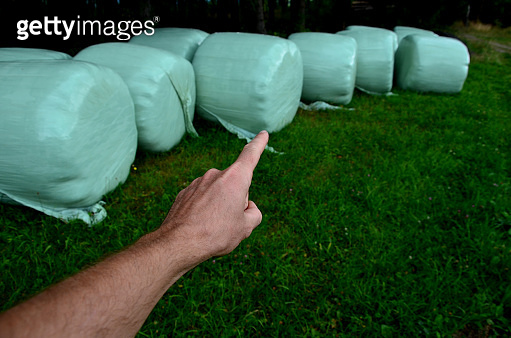 bales of fermented meadow hay for cattle feed are heavy and unstable ...