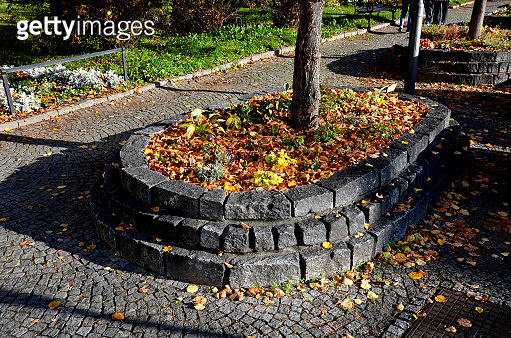promenade paved with cubes. raised oval-shaped beds with a gradual ...