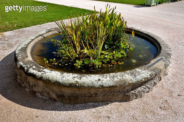old stone sandstone carved fountain converted into a pond with water ...
