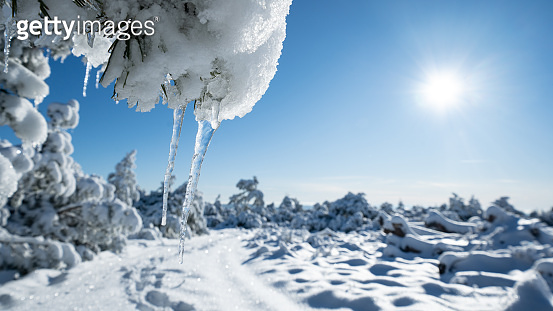 Stunning panorama of snowy landscape in winter in Black Forest - Snow ...
