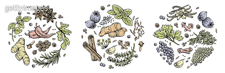 Vector set of linear illustrations with spices and herbs, basil ...