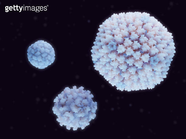 Common cold pathogens: rhinovirus, adenovirus and coxsackievirus ...