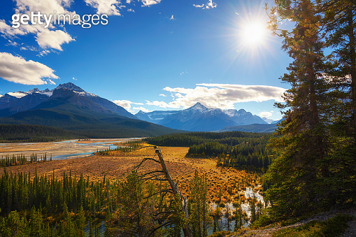 Howse Pass Viewpoint in Banff National Park, Canada (1389838041) - 게티이미지뱅크