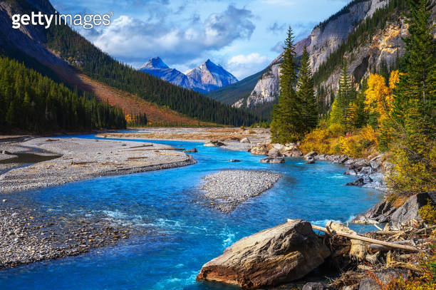 River flowing along the Icefields Pkwy in Banff National Park, Canada ...