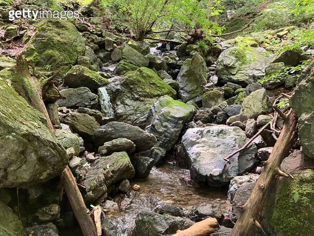 Mountain stream trail hiking at Mt. Bounoore in Saitama, JAPAN. The ...