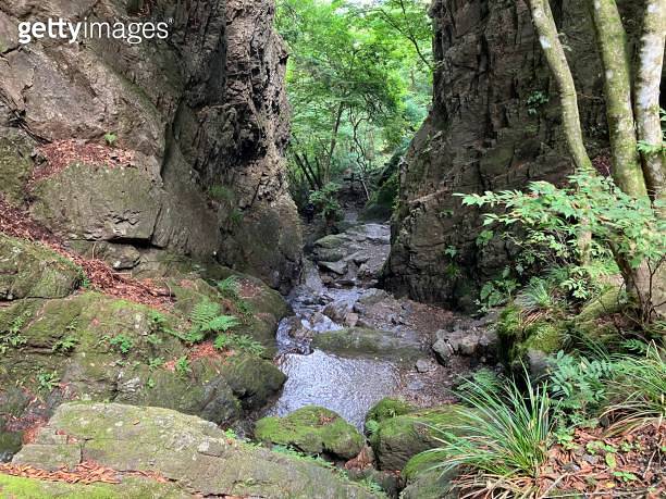 Mountain stream trail hiking at Mt. Bounoore in Saitama, JAPAN. The ...