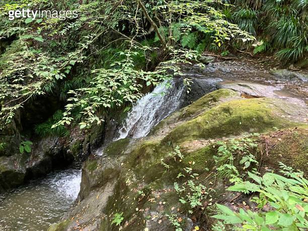 Mountain stream trail hiking at Mt. Bounoore in Saitama, JAPAN. The ...