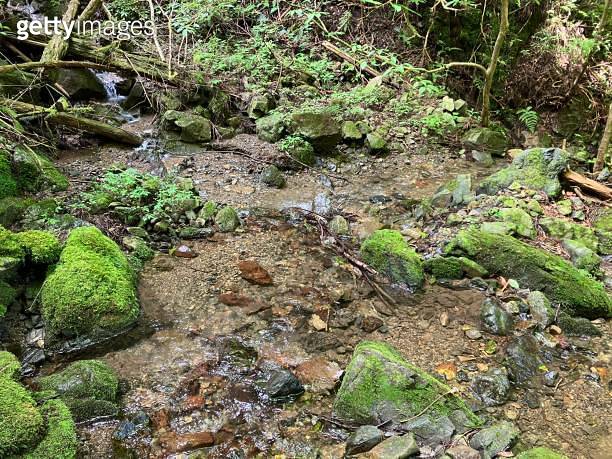 Mountain stream trail hiking at Mt. Bounoore in Saitama, JAPAN. The ...