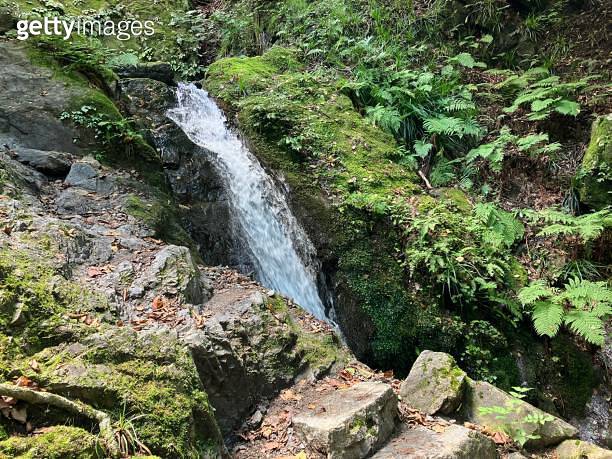 Mountain stream trail hiking at Mt. Bounoore in Saitama, JAPAN. The ...