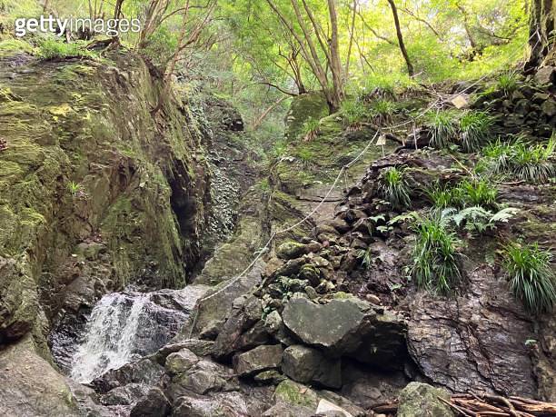 Mountain stream trail hiking at Mt. Bounoore in Saitama, JAPAN. The ...
